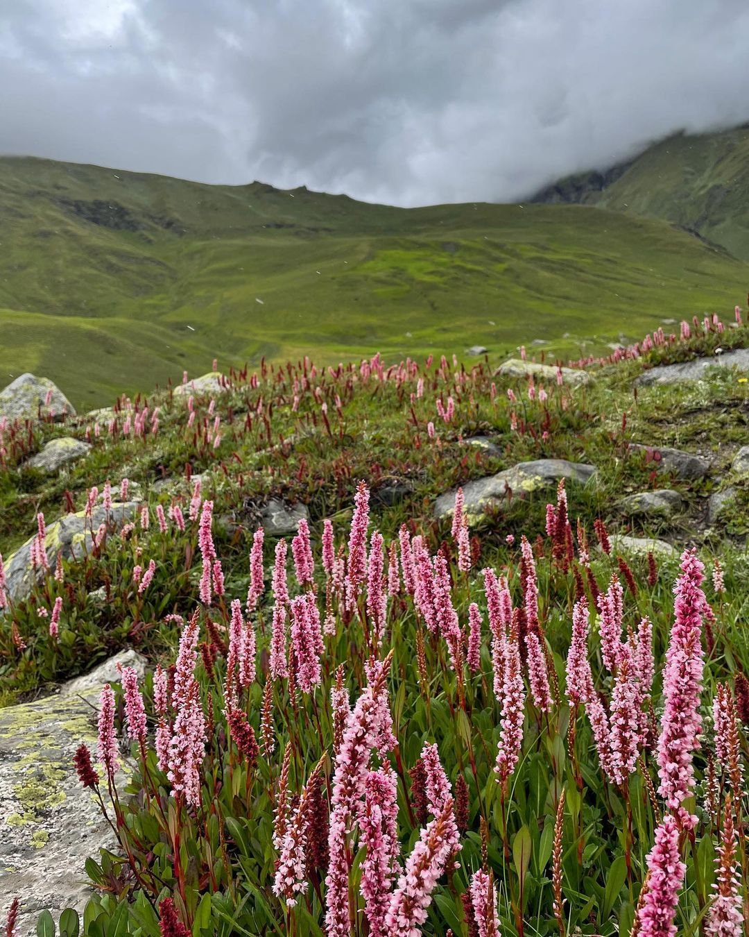 Top passes in India that are worth trekking - Nomads of India