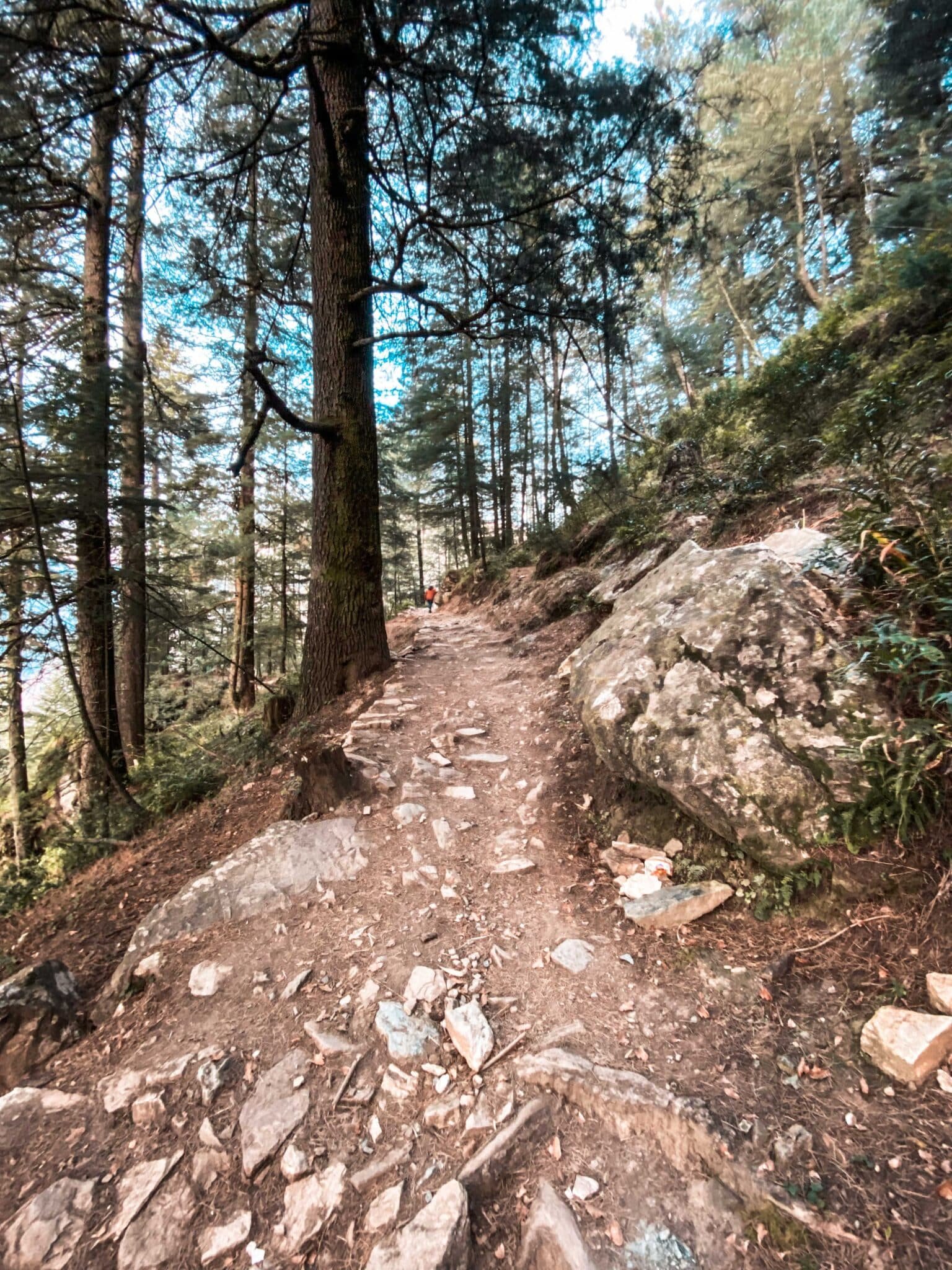 Shangarh: The Only Travel Guide You Need (2026 Updated) - NOI