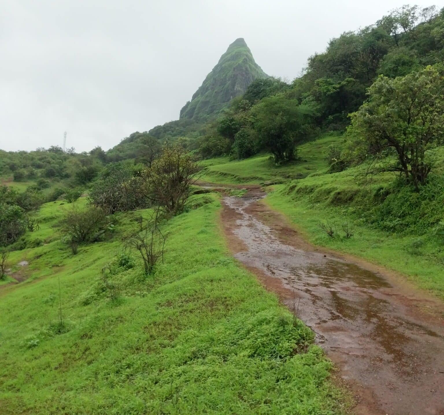 Korigad Fort - A Complete Guide - Nomads of India