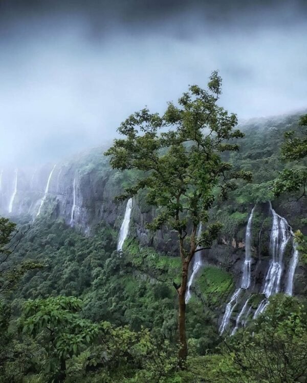 Bhimashankar Trek - A Complete Guide - Nomads of India