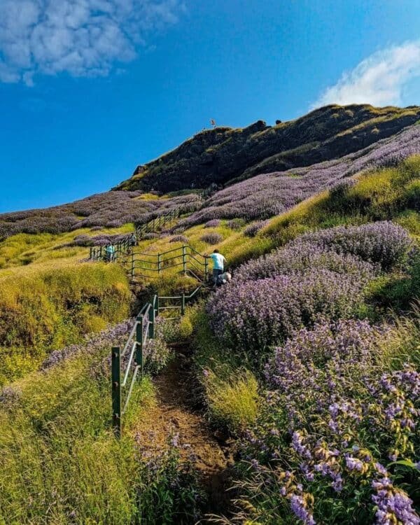 Ratangad Trek - A Complete Guide - Nomads of India