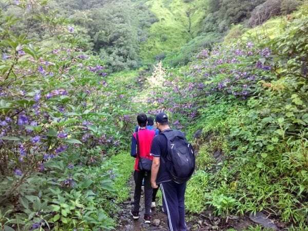 Andharban Trek: Ultimate Guide to a Memorable Journey - NOI