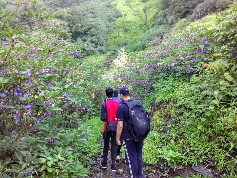 Andharban Trek: Ultimate Guide to a Memorable Journey - NOI