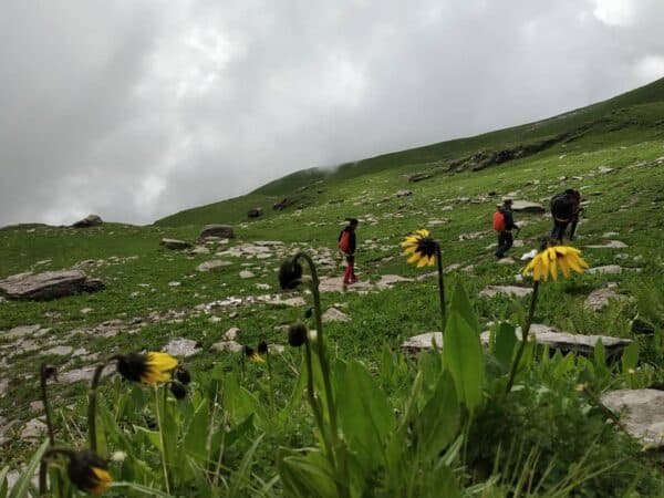 Bhrigu Lake Trek: Ultimate DIY Guide 2024 - Nomads of India