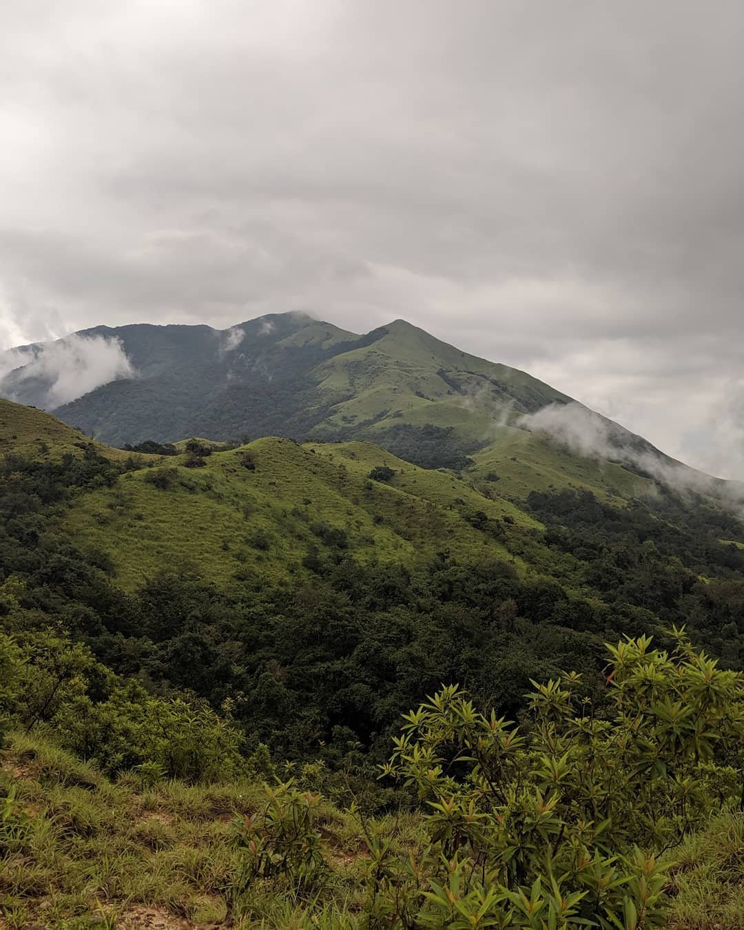 Kumara Parvatha Trek - Complete Guide (2024) - Nomads of India