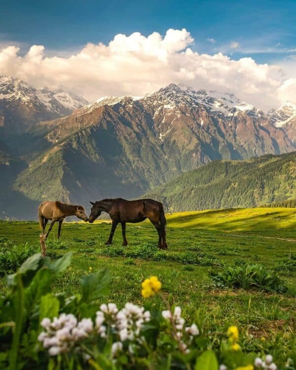 Sar Pass Trek: A Complete Guide (Updated 2024) - Nomads of India