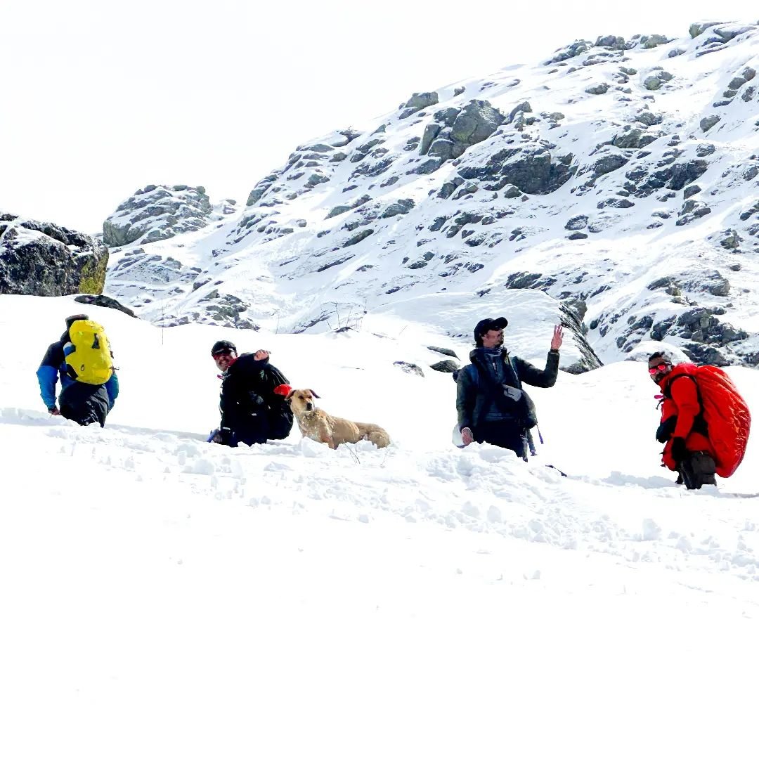 Sar Pass Trek: A Complete Guide (Updated 2024) - Nomads of India