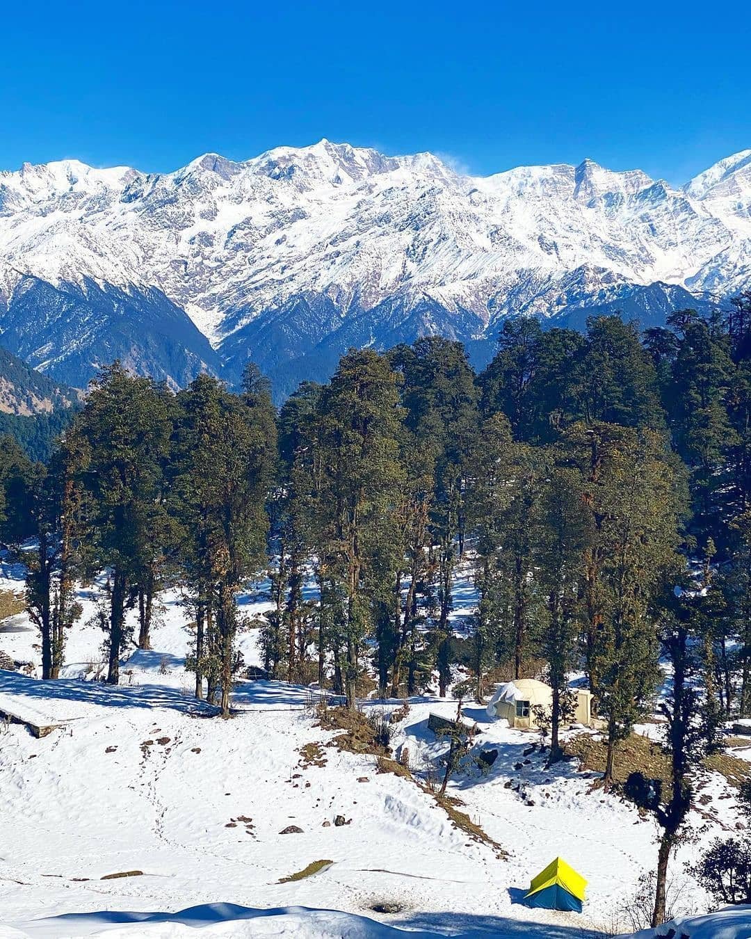 Dayara Bugyal Trek: Explore the Meadows of Uttarakhand - NOI