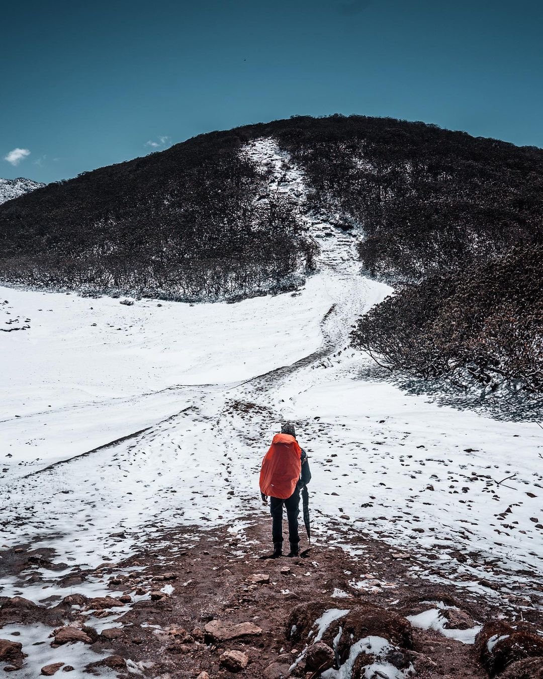 Goechala Trek: The Ultimate Trek Guide for Adventure - NOI