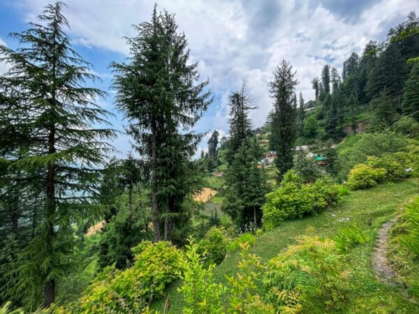 Shoja, Himachal Pradesh: The Only Travel Guide You Need