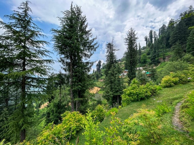 Shoja, Himachal Pradesh: The Only Travel Guide You Need