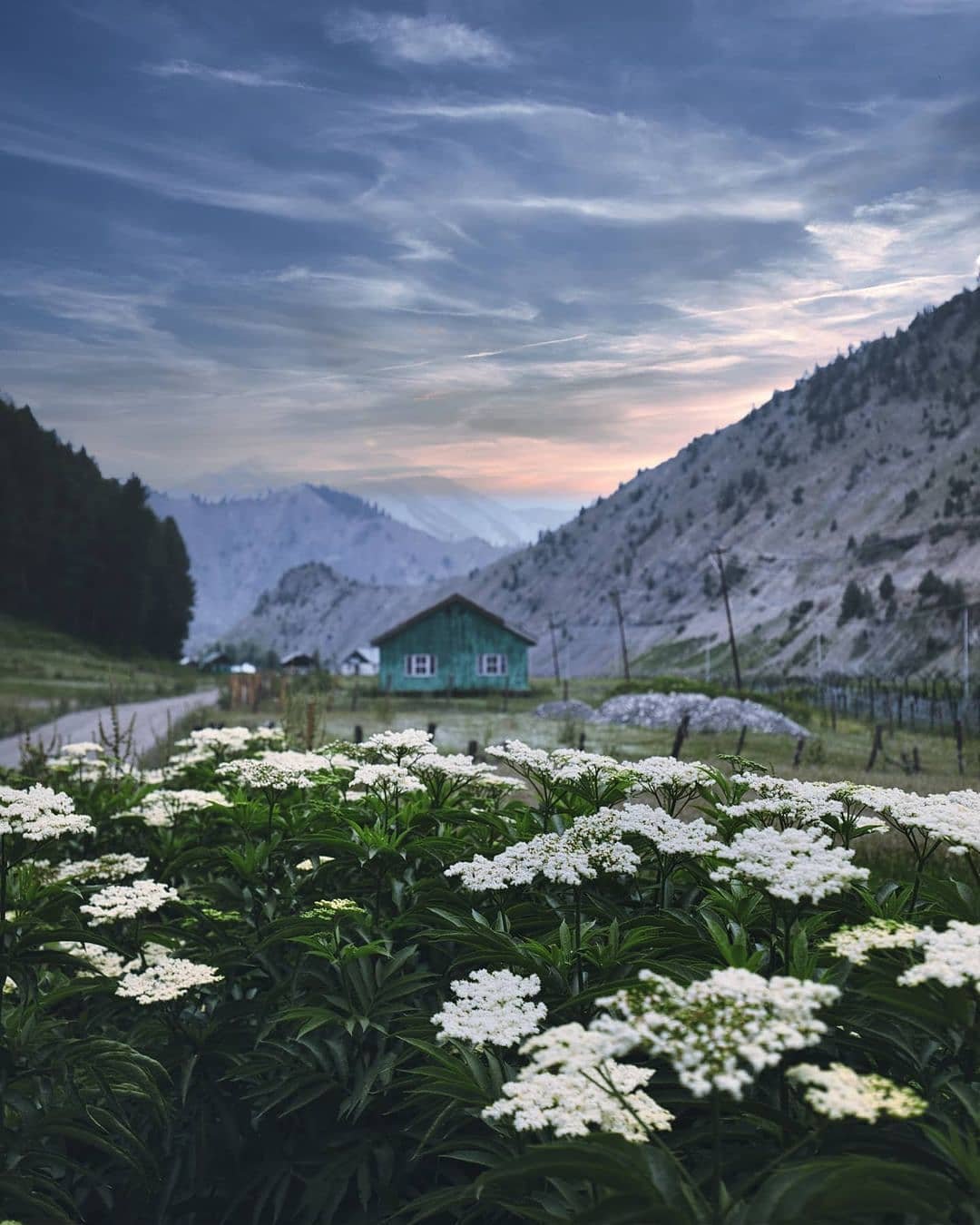 Gurez Valley Ultimate Travel Guide: Everything You Need to Know