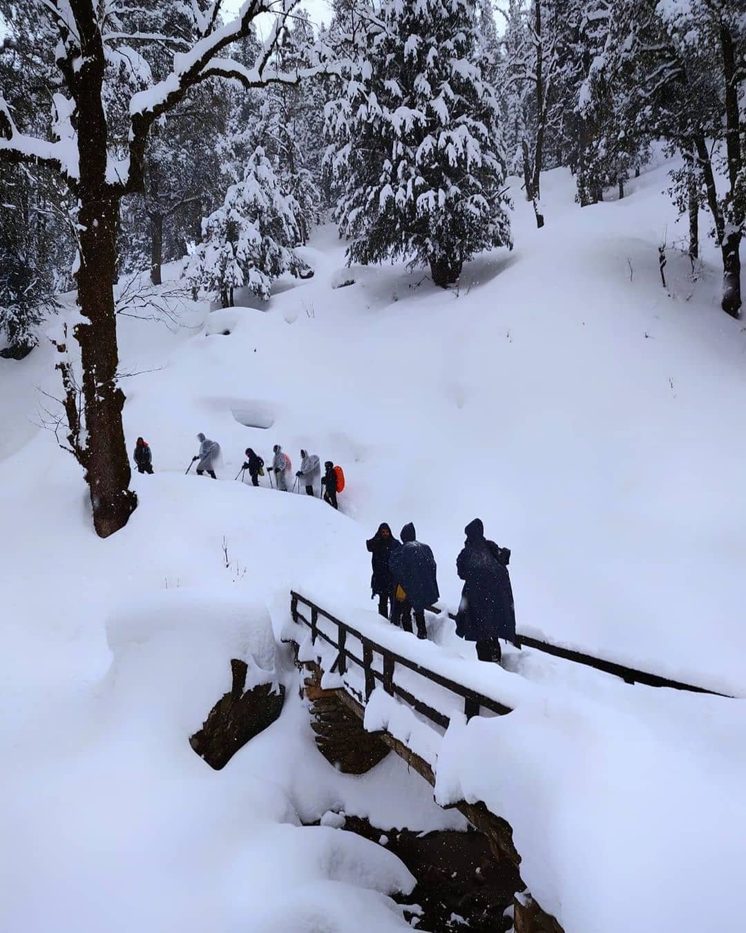 Kedarkantha Trek: Complete Guide 2024 - Nomads of India