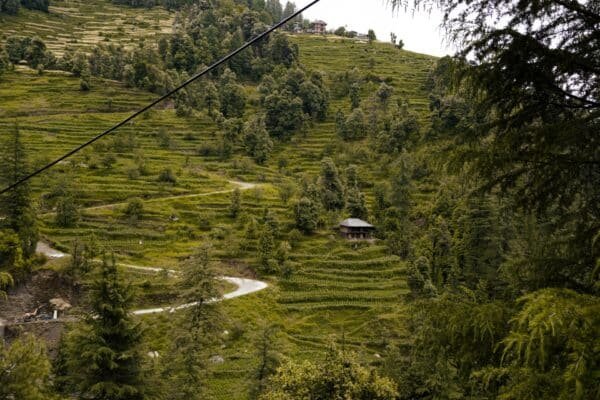 Barot Valley Ultimate Travel Guide: Uncover the Hidden Gem