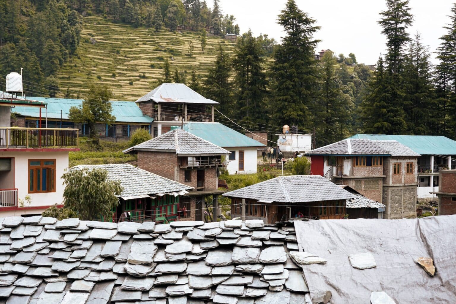 Barot Valley Ultimate Travel Guide: Uncover the Hidden Gem