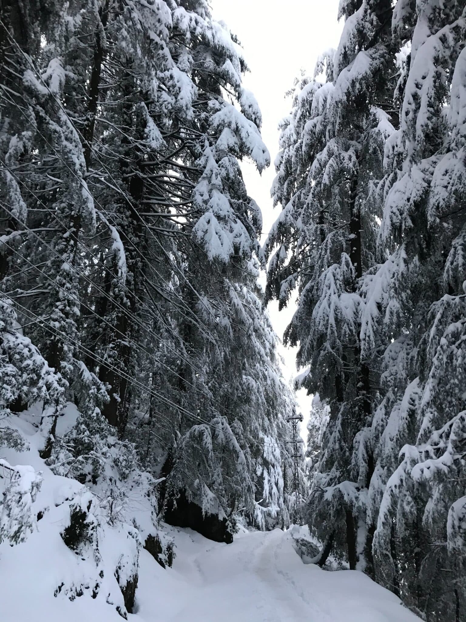 Dharamkot - Your One-Stop Travel Guide (2024 Updated) - NOI