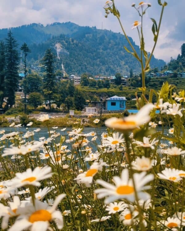 Barot Valley Ultimate Travel Guide: Uncover the Hidden Gem