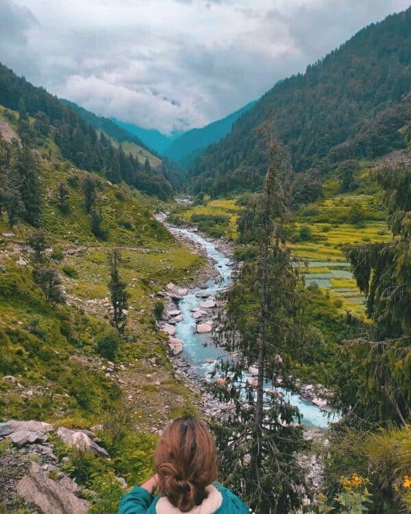 Bir Billing Ultimate Travel Guide: Everything You Need to Know!